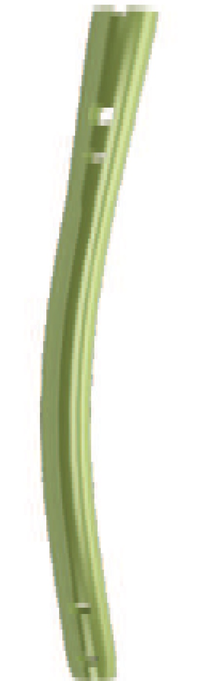 Cannulated Titanium Nail for Femur Fracture – Advanced Shaft Fixation ...